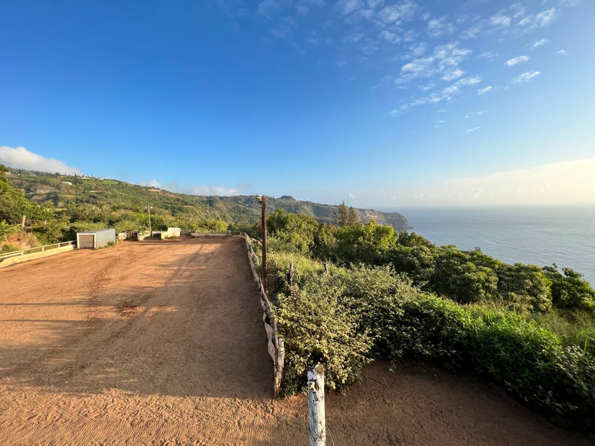 Circle M Ranch | Horseback Riding in Maui, HI
