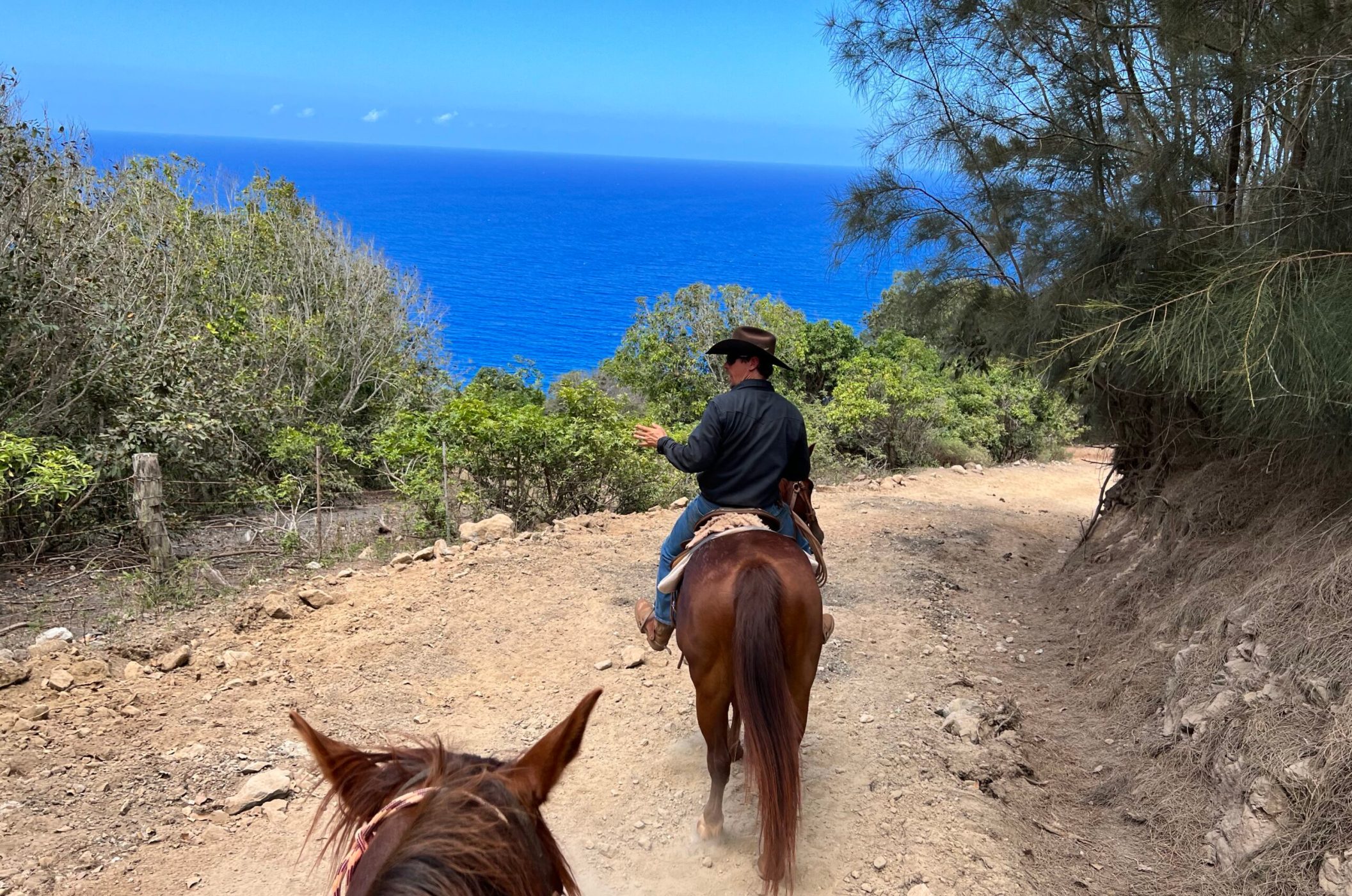 Afternoon Trail Rides in Maui, HI | Circle M Ranch
