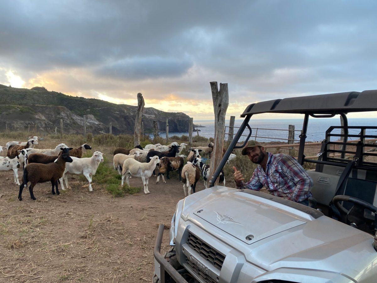 Circle M Ranch | Horseback Riding in Maui, HI