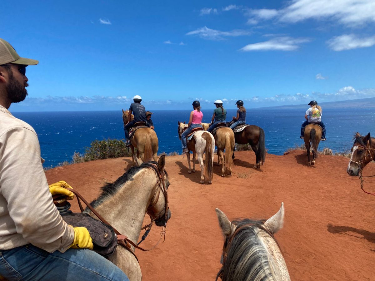 Circle M Ranch | Horseback Riding in Maui, HI