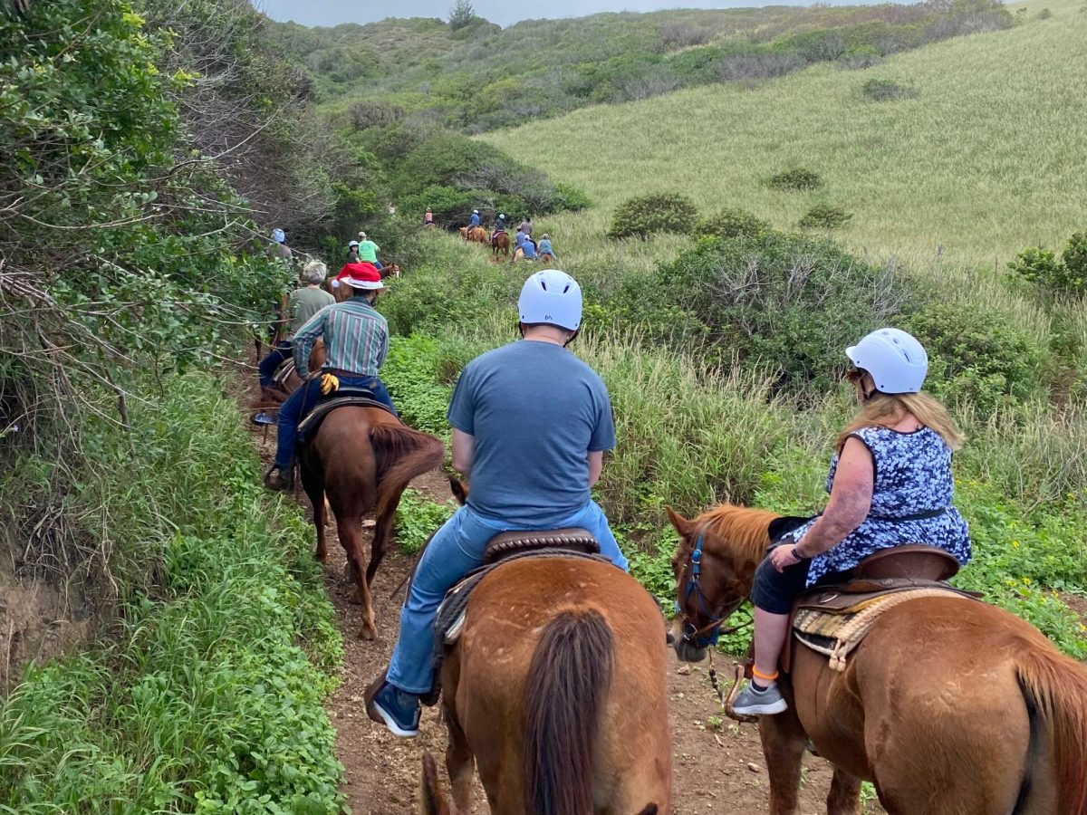 Circle M Ranch | Horseback Riding in Maui, HI